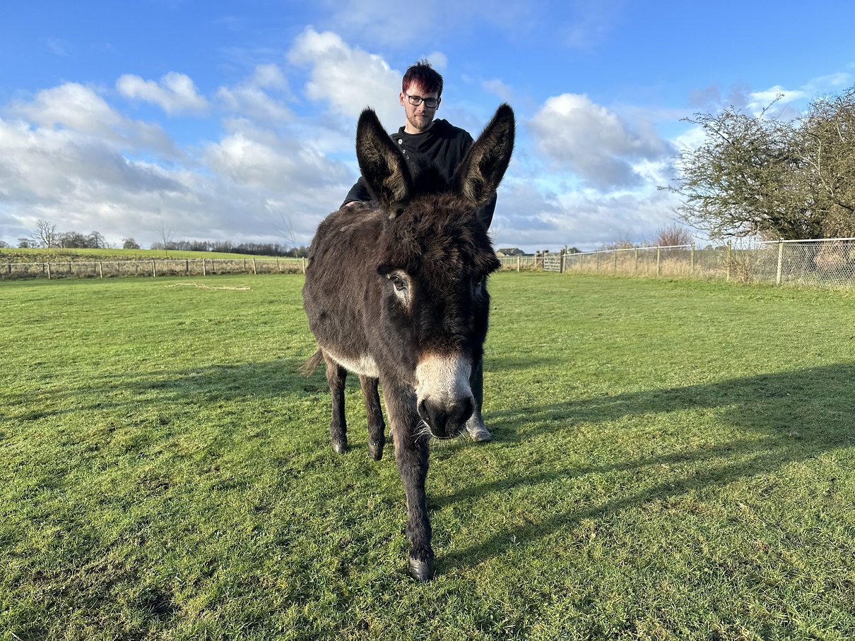 'I feel transformed': Donkeys turn around life of young man - Your Horse