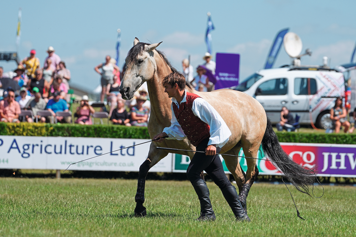 Liberty horse training with Ben Atkinson plus exercises to try at home ...