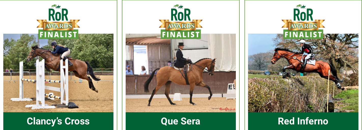 Last chance to vote for 'inspirational Thoroughbreds' ahead of this ...