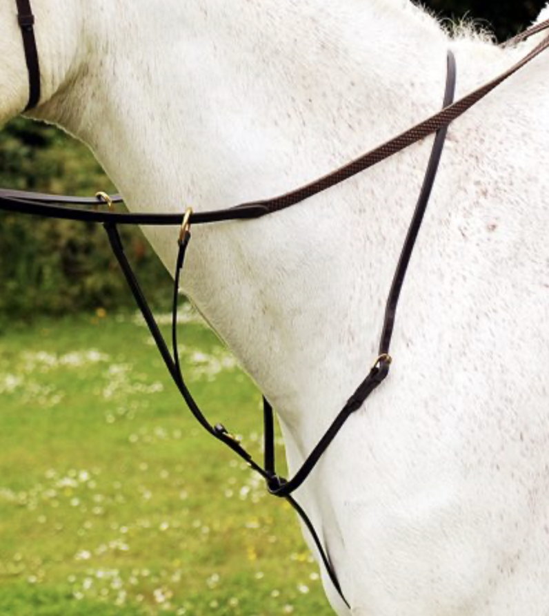 This is what you need to know before buying a new martingale for your ...