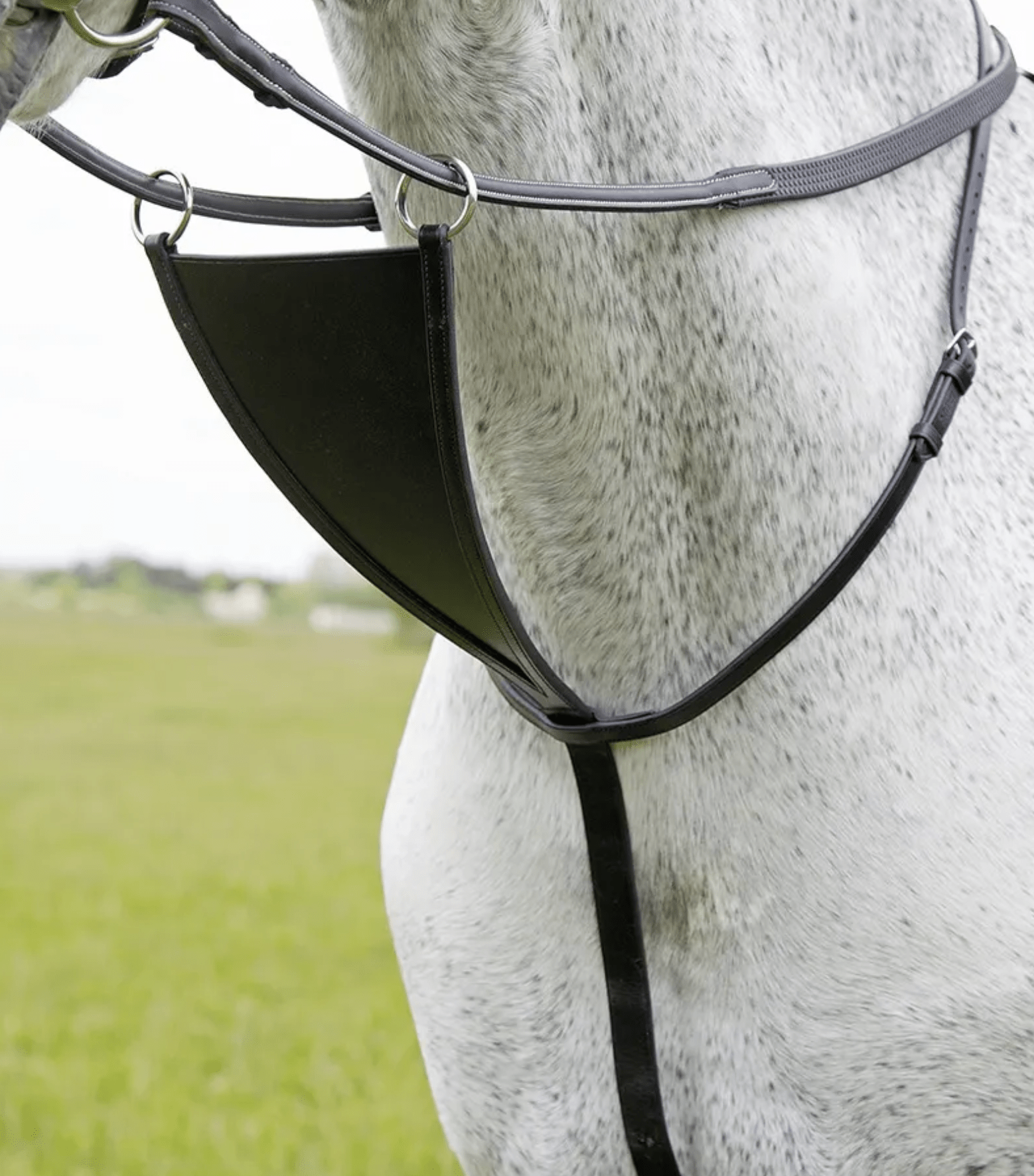 This is how to choose the best martingale for your horse - Your Horse