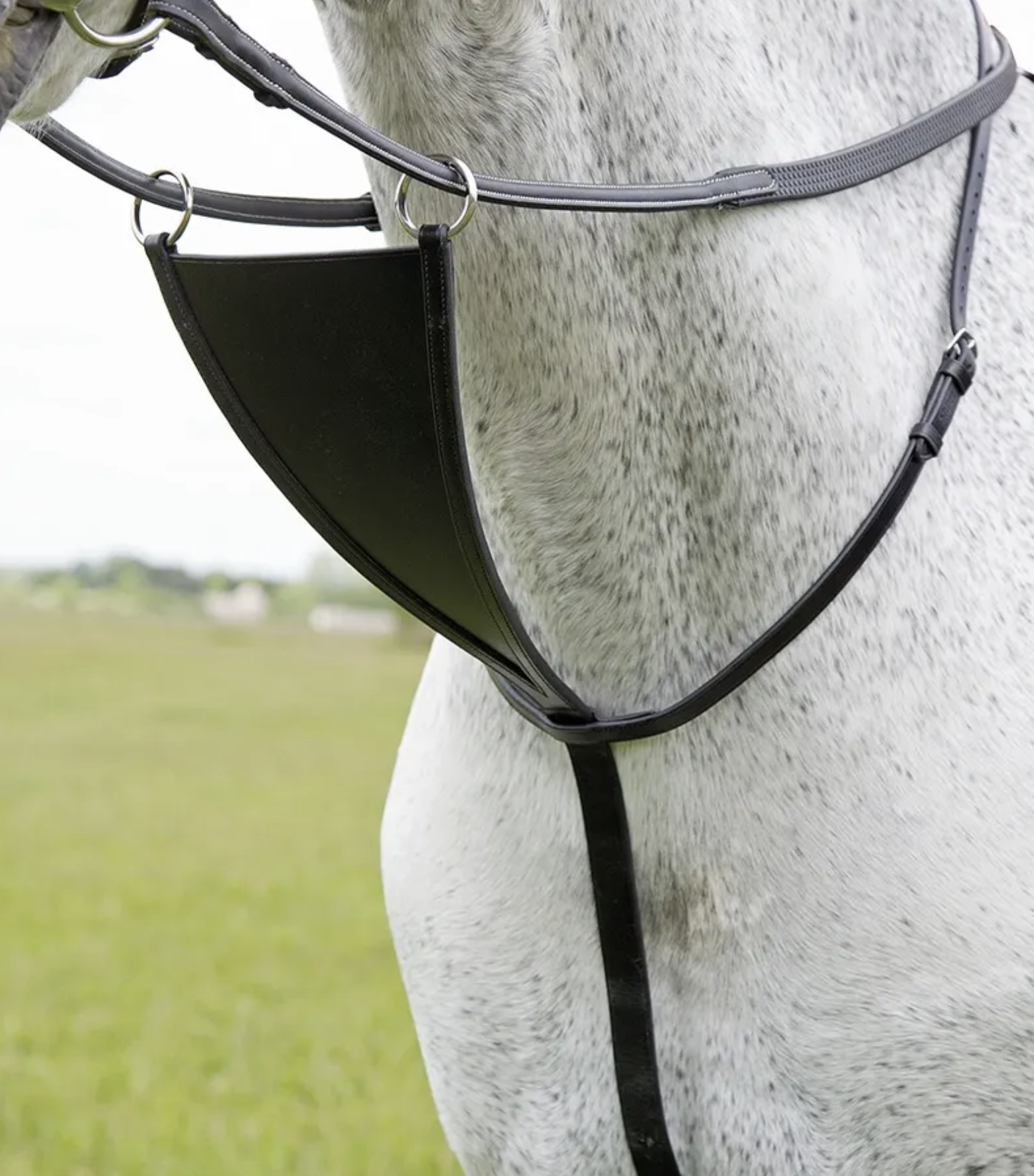 How to choose the best type of martingale for your horse - Your Horse