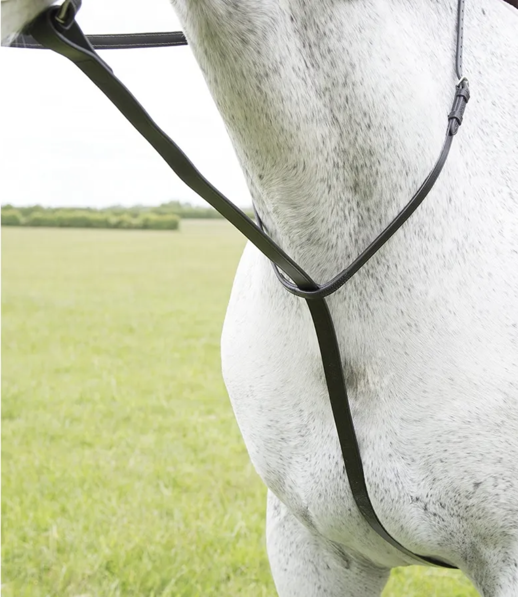 This is what you need to know before buying a new martingale for your ...