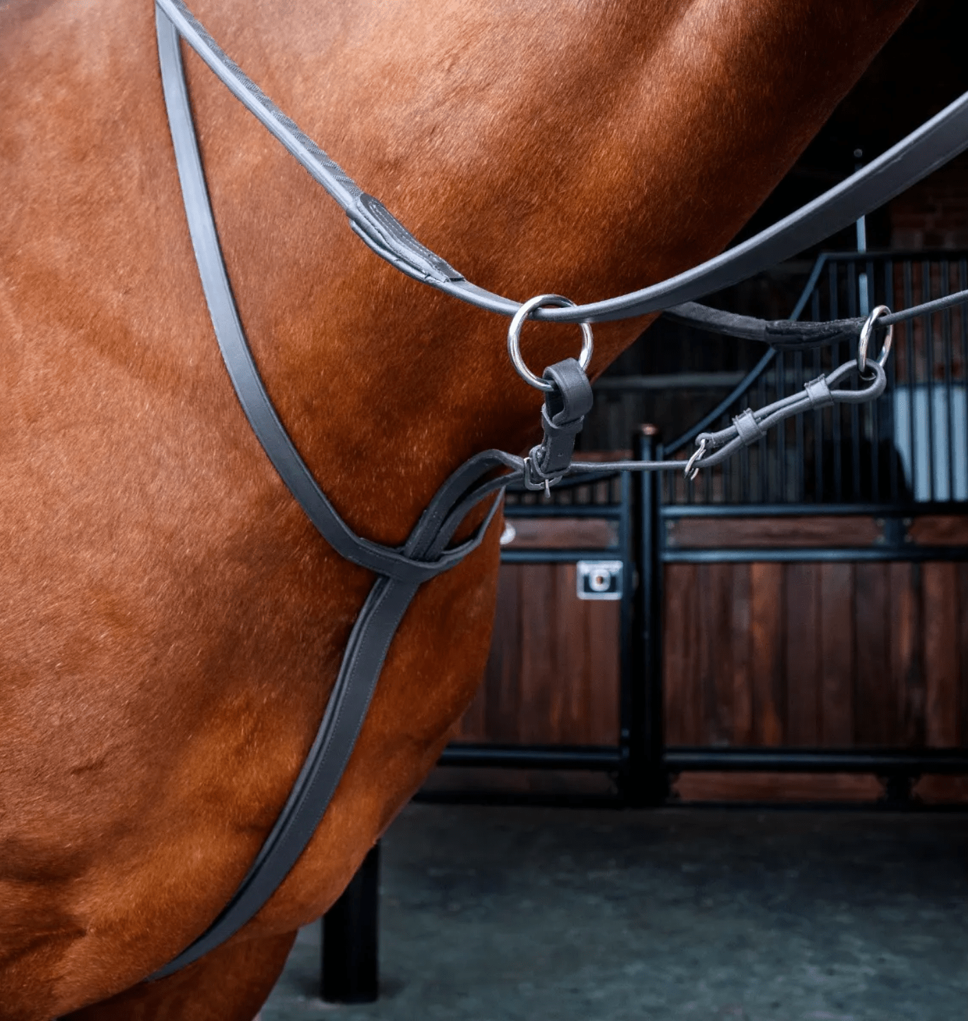 This is what you need to know before buying a new martingale for your ...