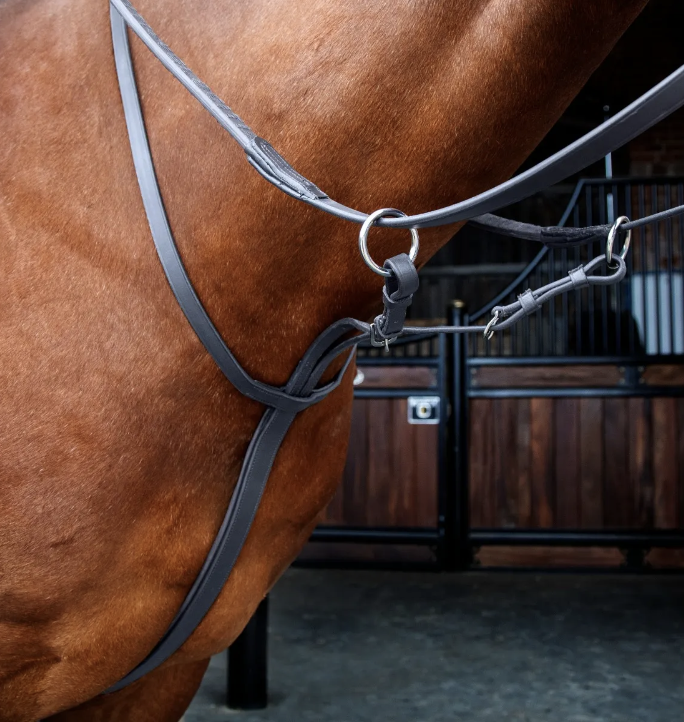This is what you need to know before buying a new martingale for your ...