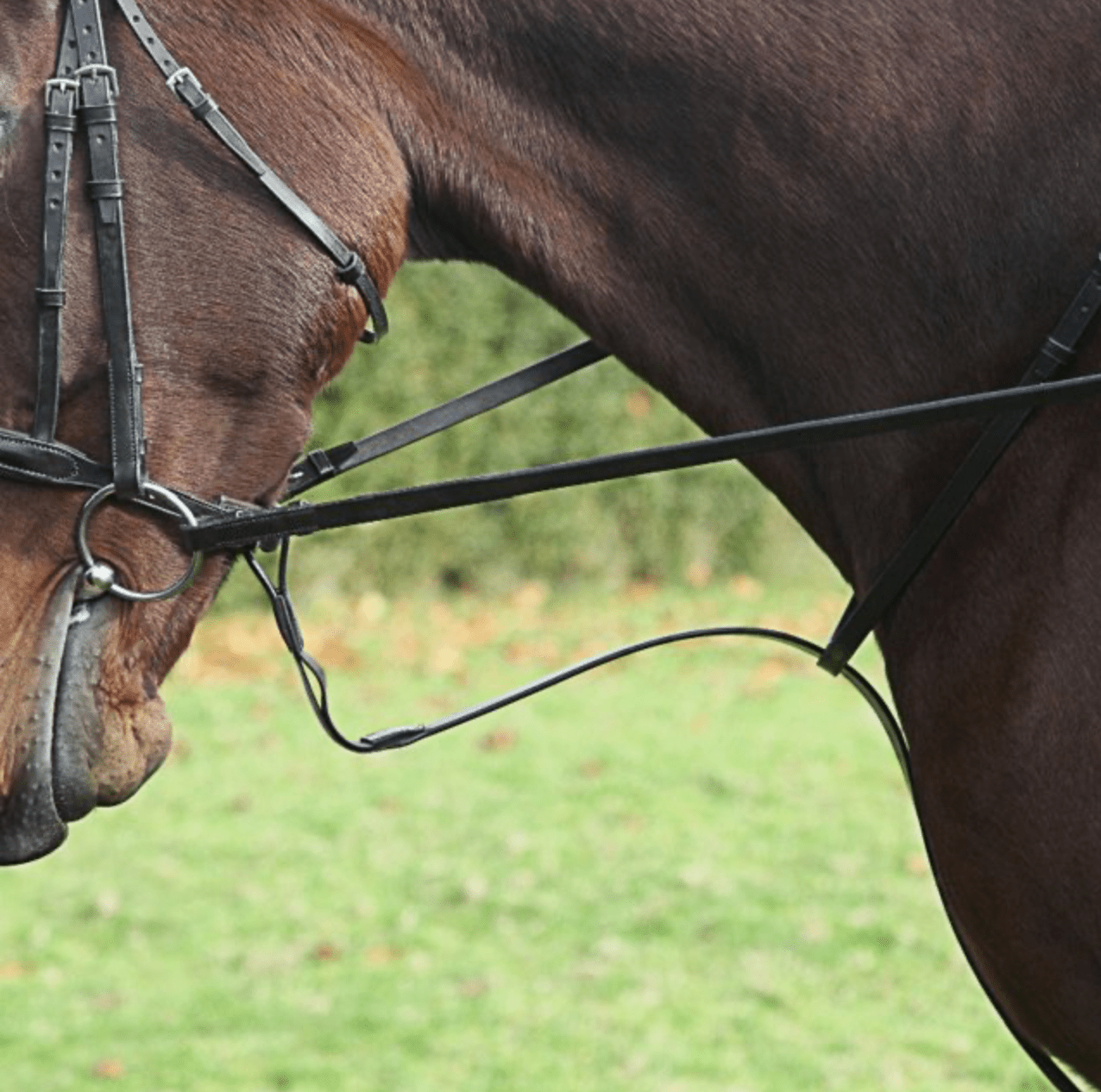 This is what you need to know before buying a new martingale for your horse - Your Horse