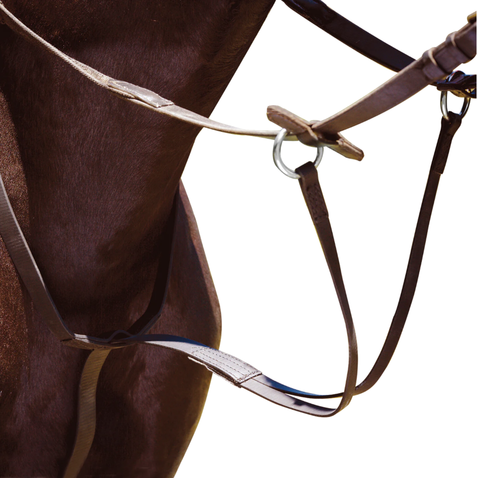 This is what you need to know before buying a new martingale for your ...