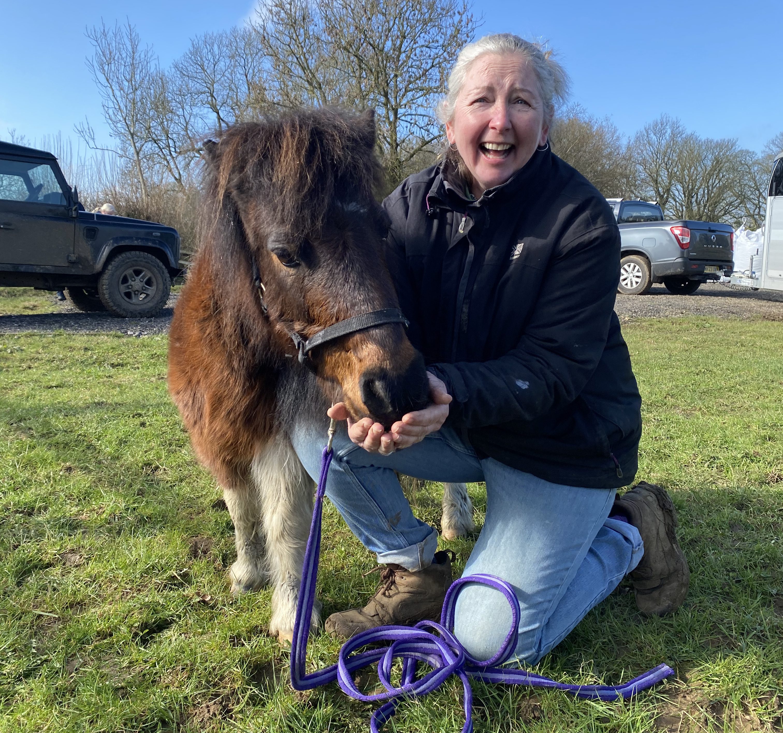 Stolen pony reunited with 'overjoyed' owner - Your Horse