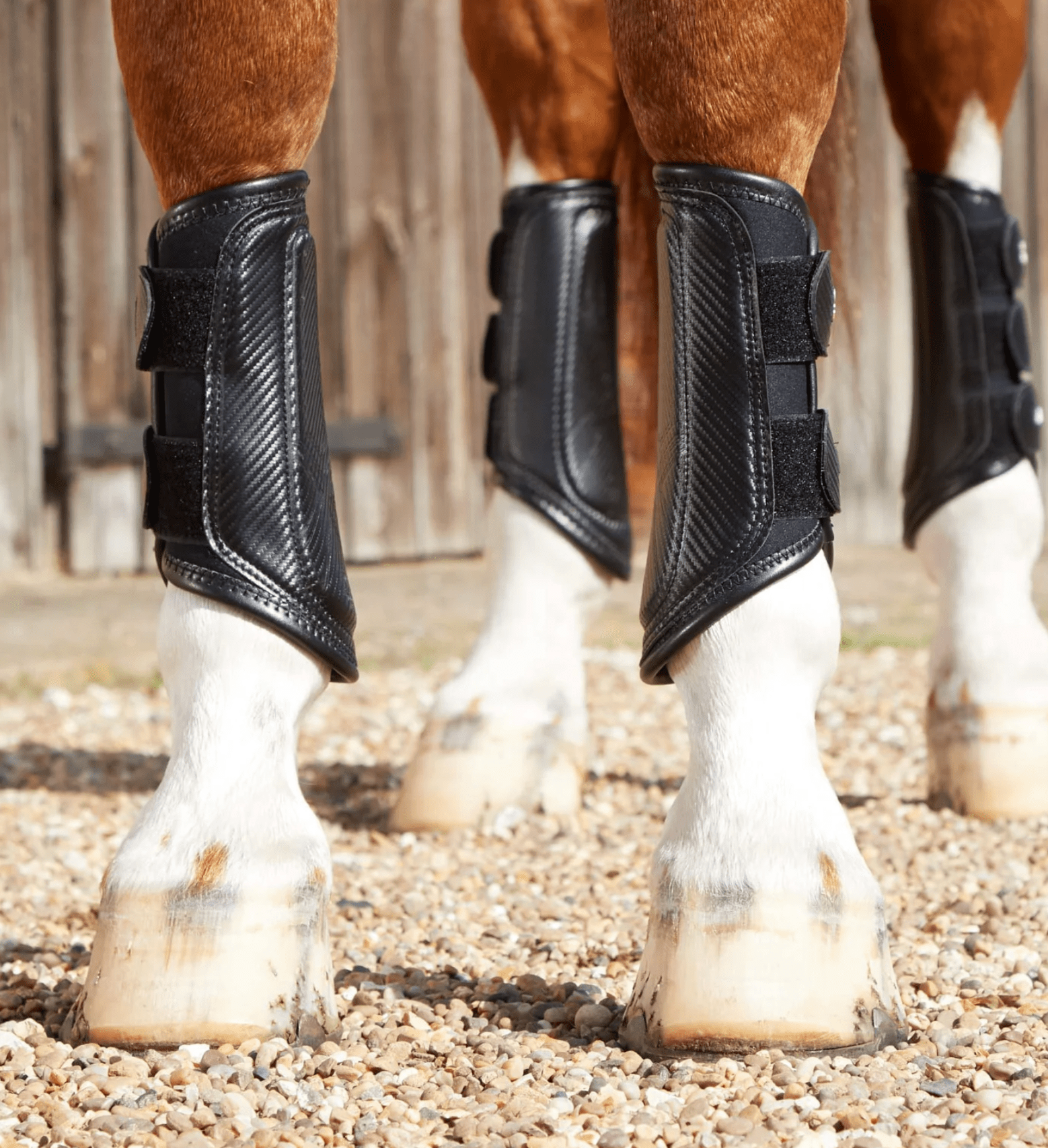 Brushing boots for horses tried and tested by our team - Your Horse