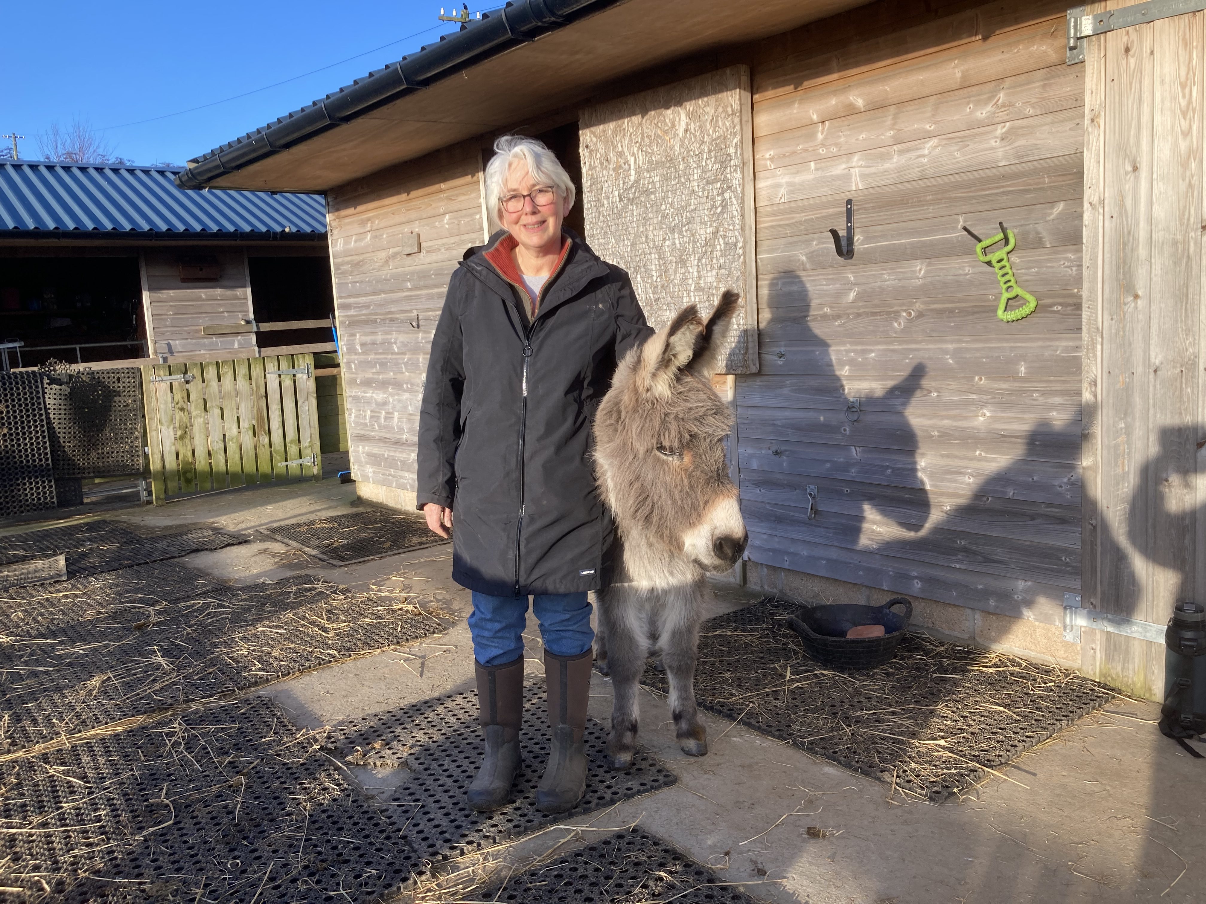 Bereaved donkey finds new forever friend - Your Horse