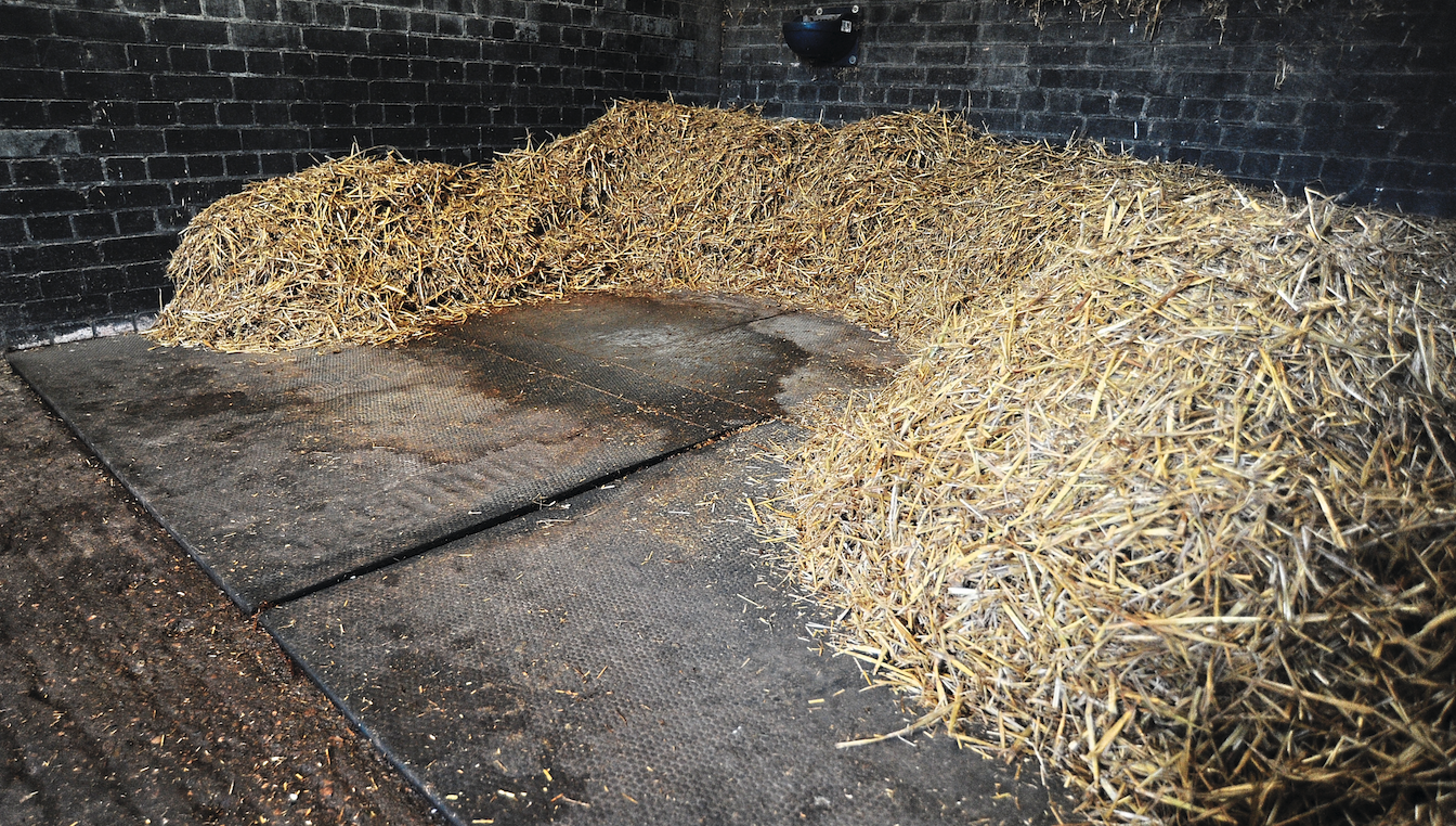 Experts advise how to choose the best type of bedding to suit your ...