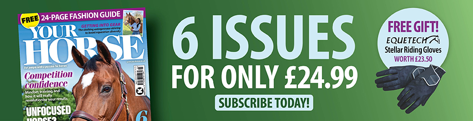 Horse worming schedule and management advice - Your Horse