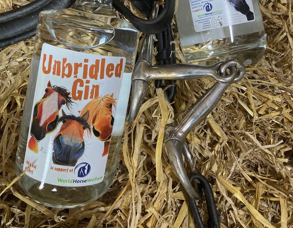 Fancy a tipple? New Unbridled Gin supports World Horse Welfare - Your Horse