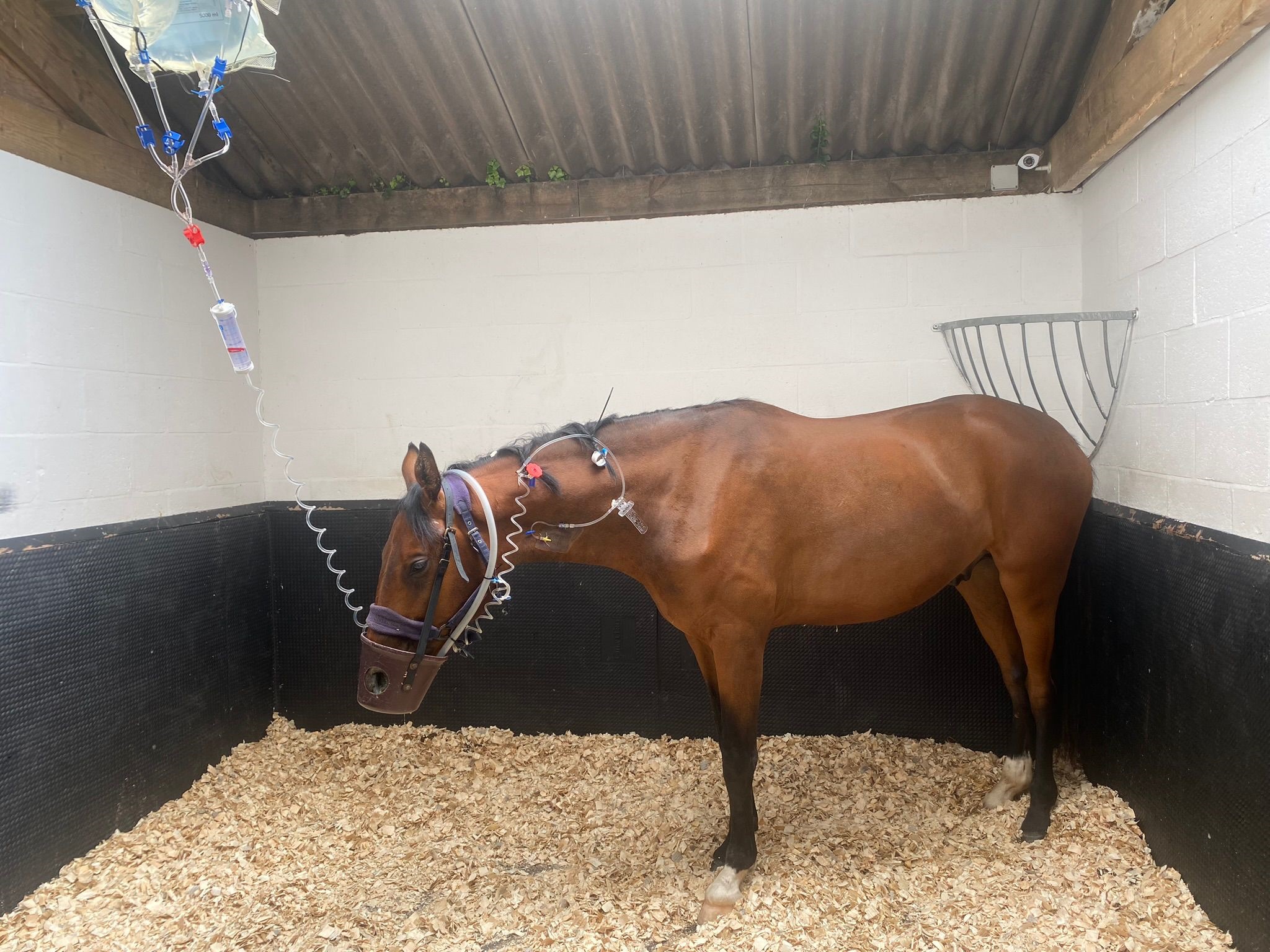 New videos released to show the potentially devastating impact of ...