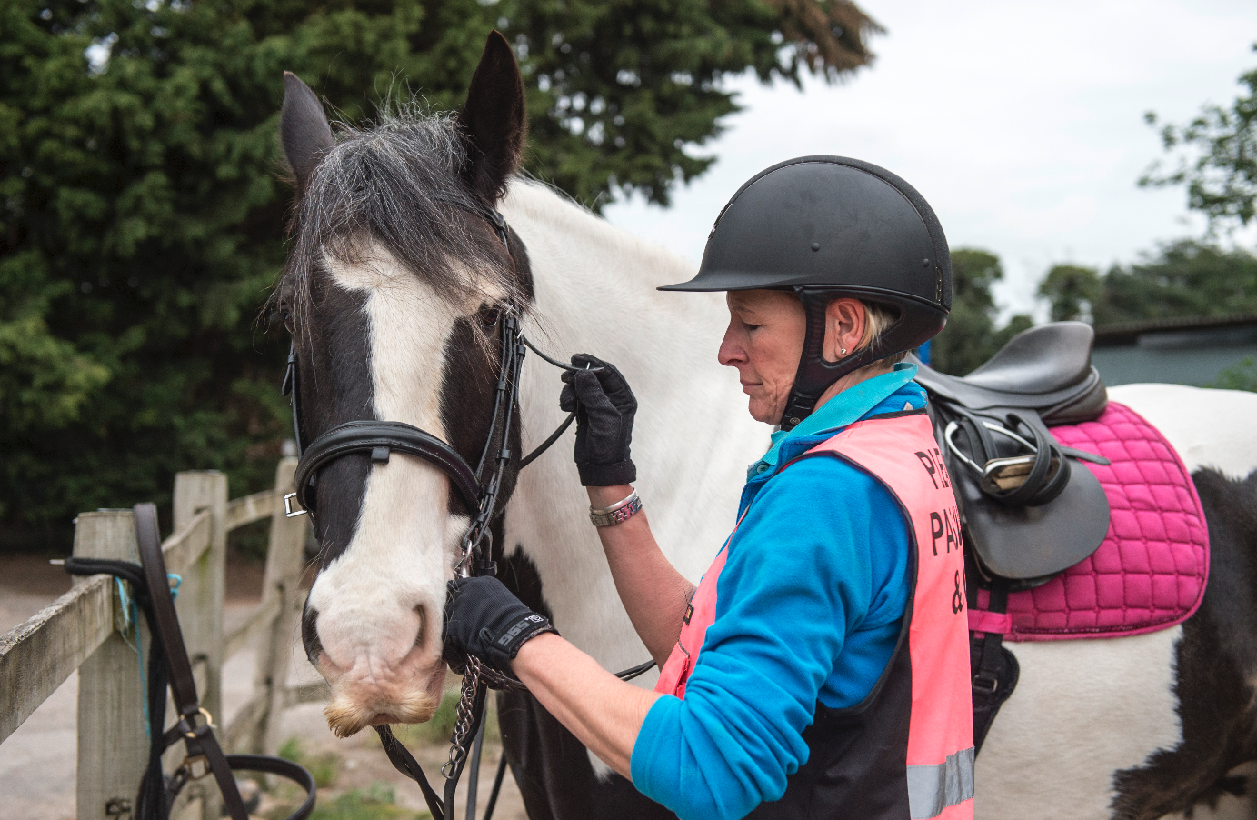 Essential tack for every horse rider (and why you need it) - Your Horse