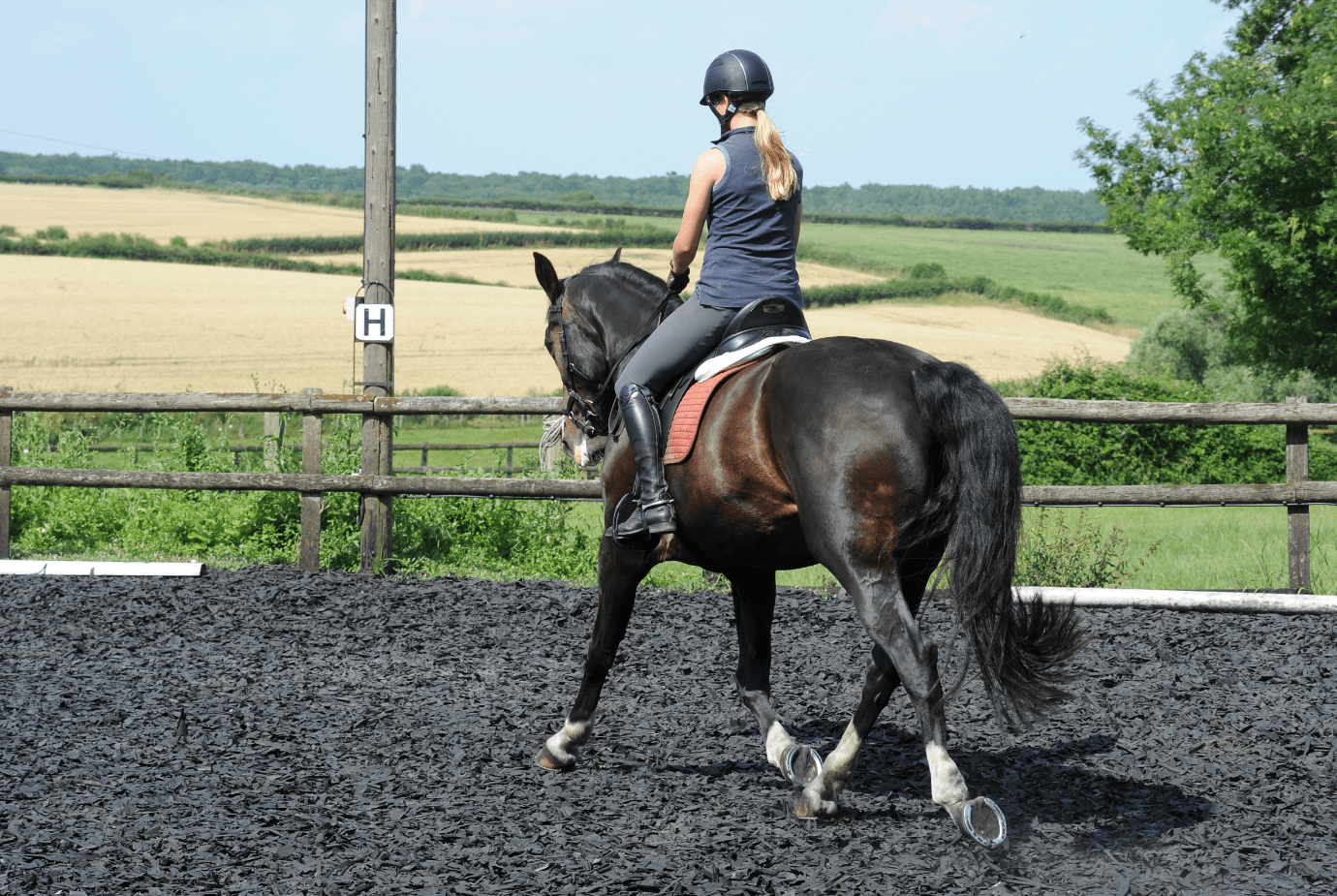 Four flatwork exercises using straight lines to spice up a schooling ...