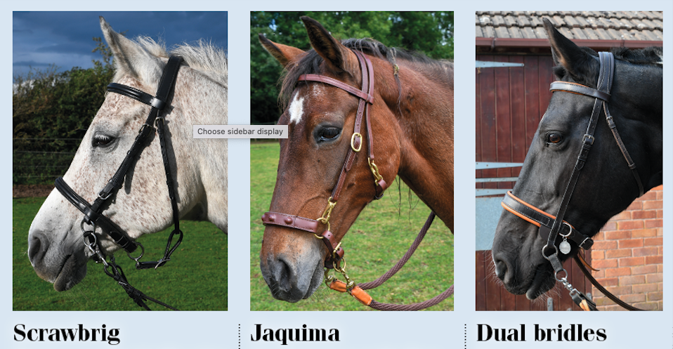 Ultimate guide to bitless bridles and the physiological advantages for ...