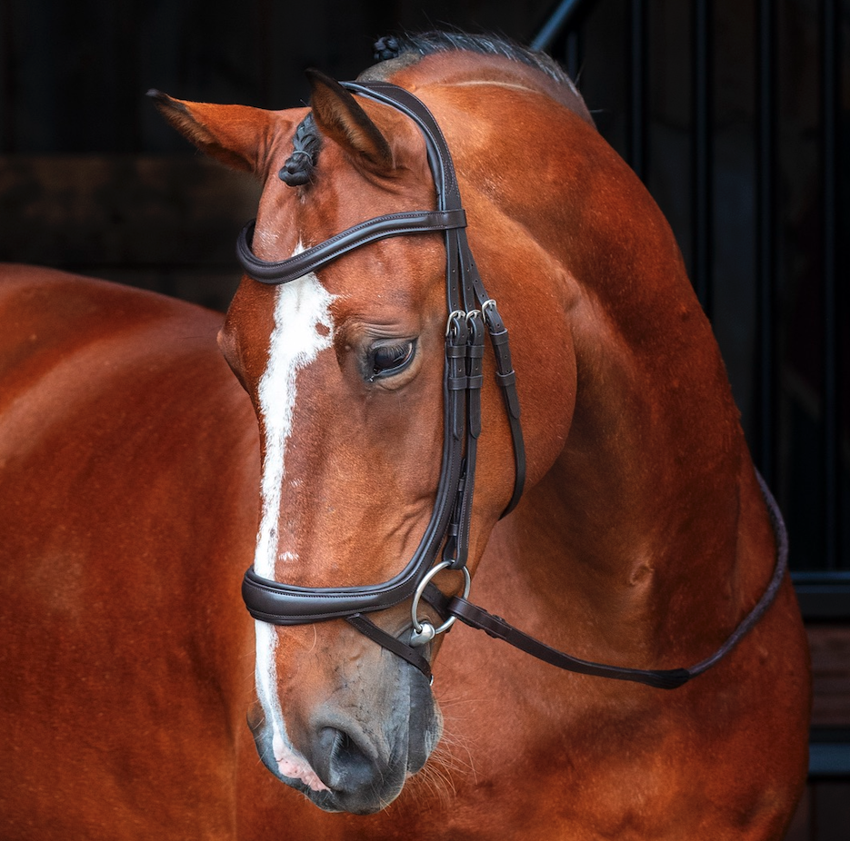 Bridles our team has tried and tested for fit, value and performance ...