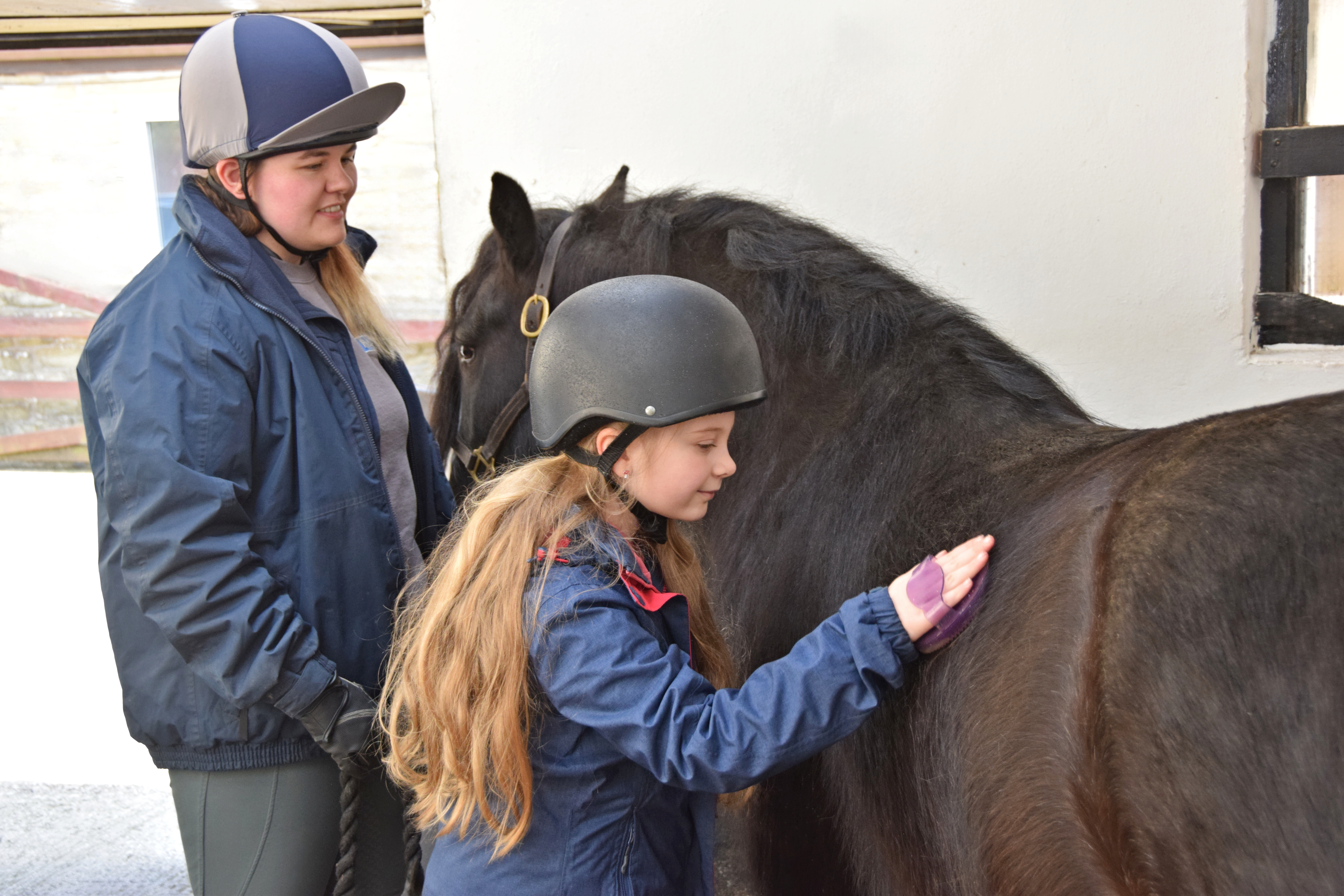 Pony mad kids can join horsey fun while helping rescue equines - Your Horse