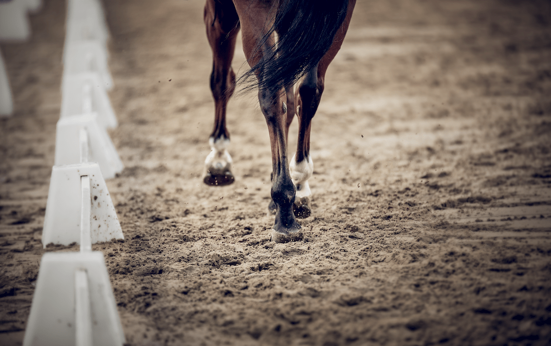 BHS coach explains when draw reins may have a place in training horses ...