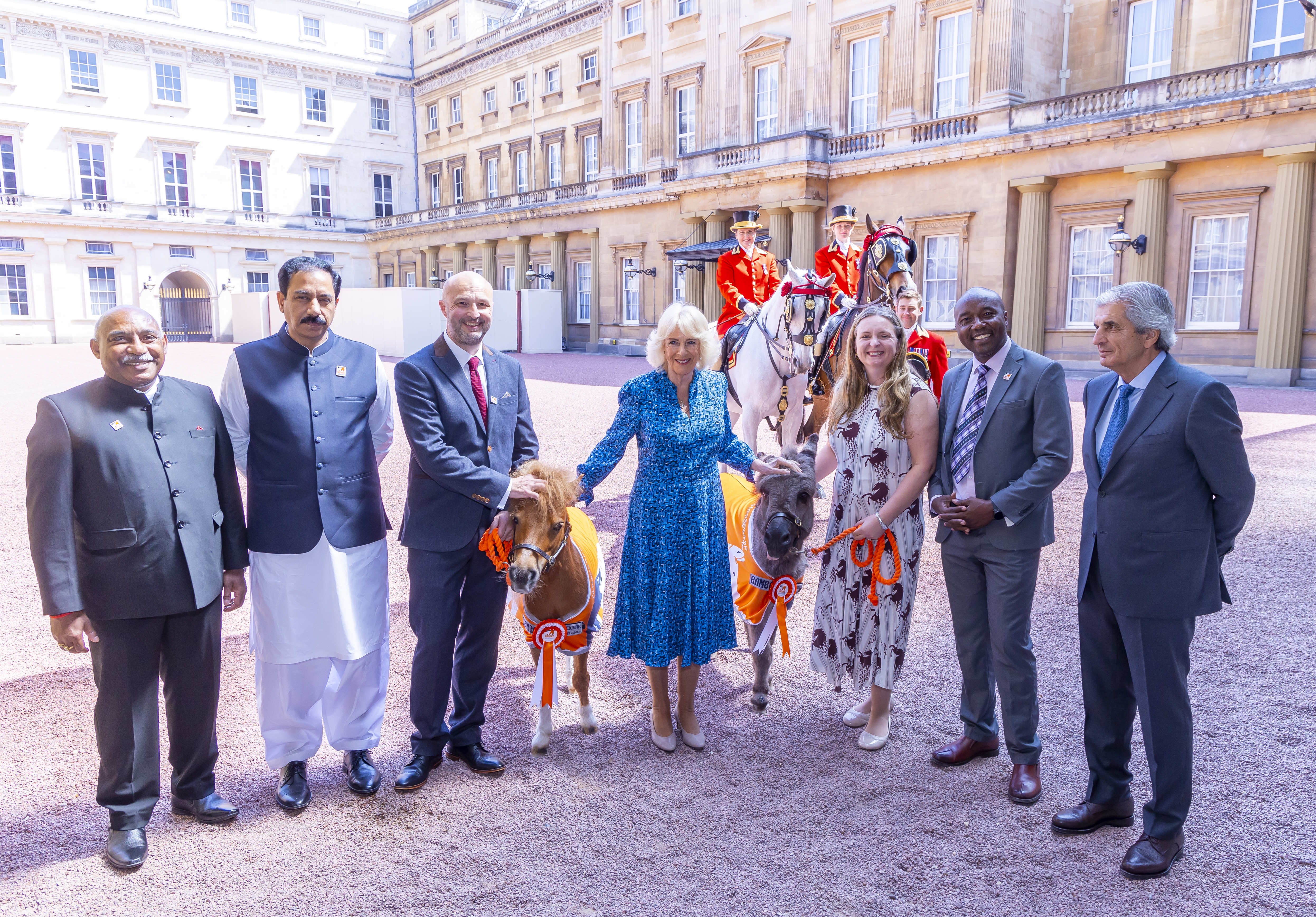 The Queen hosts 90th anniversary celebration for Brooke - Your Horse