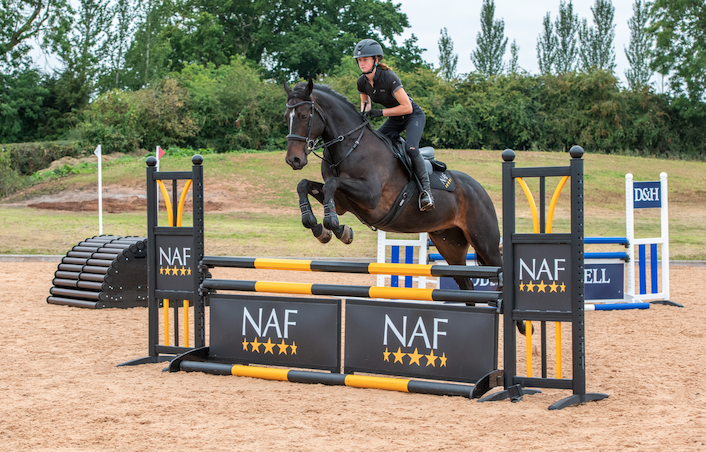 Treating a Horse With a Swollen Hock - Your Horse