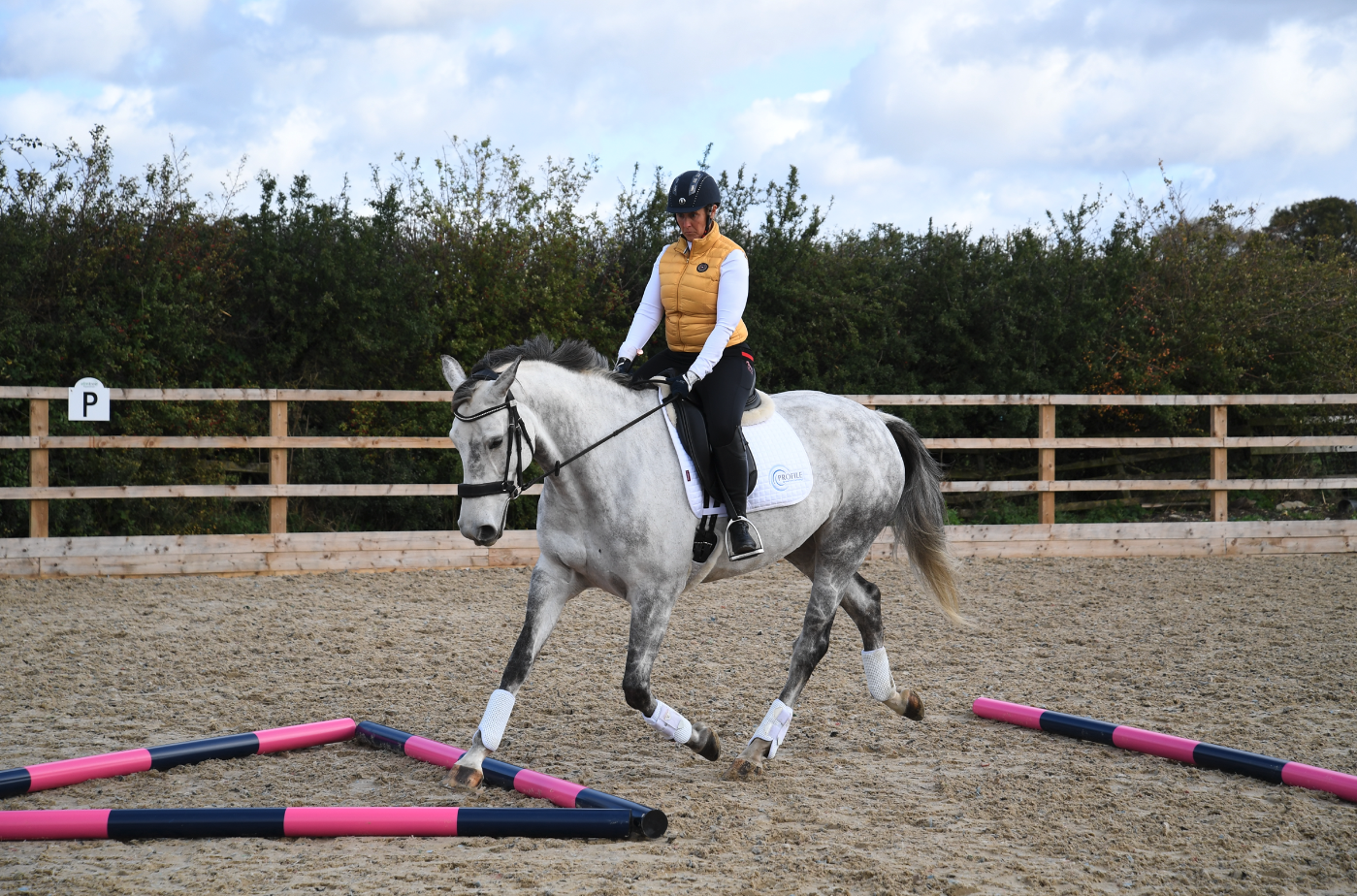 Long reining a horse: technique explained and exercises to try - Your Horse