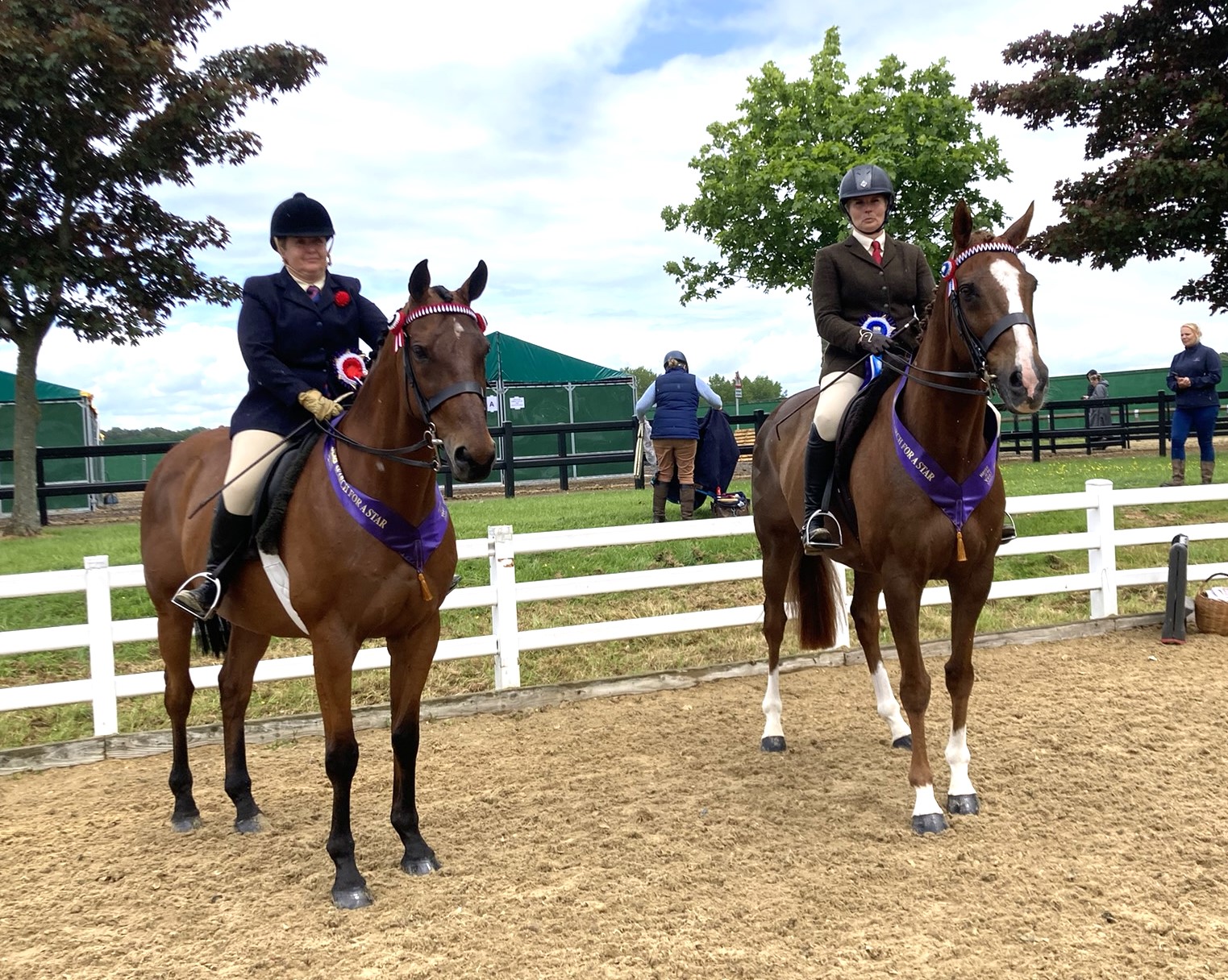 Owner urges others to be aware of risk following horse's fatal field ...