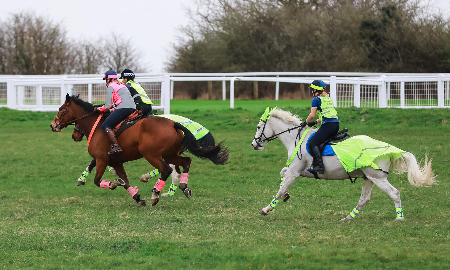 Love hacking? These are the big benefits of every ride for you and your ...