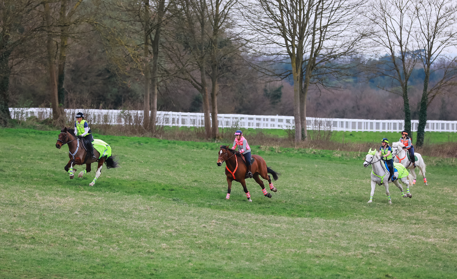 Why hacking a horse is such a brilliant thing to do - Your Horse