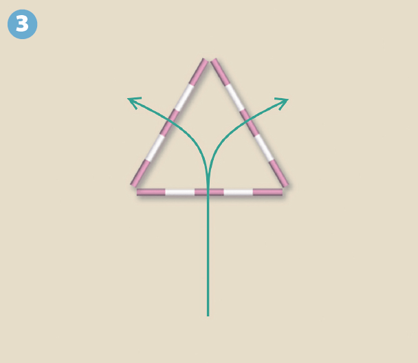 Fun ground pole exercises that create clever, confident horses - Your Horse