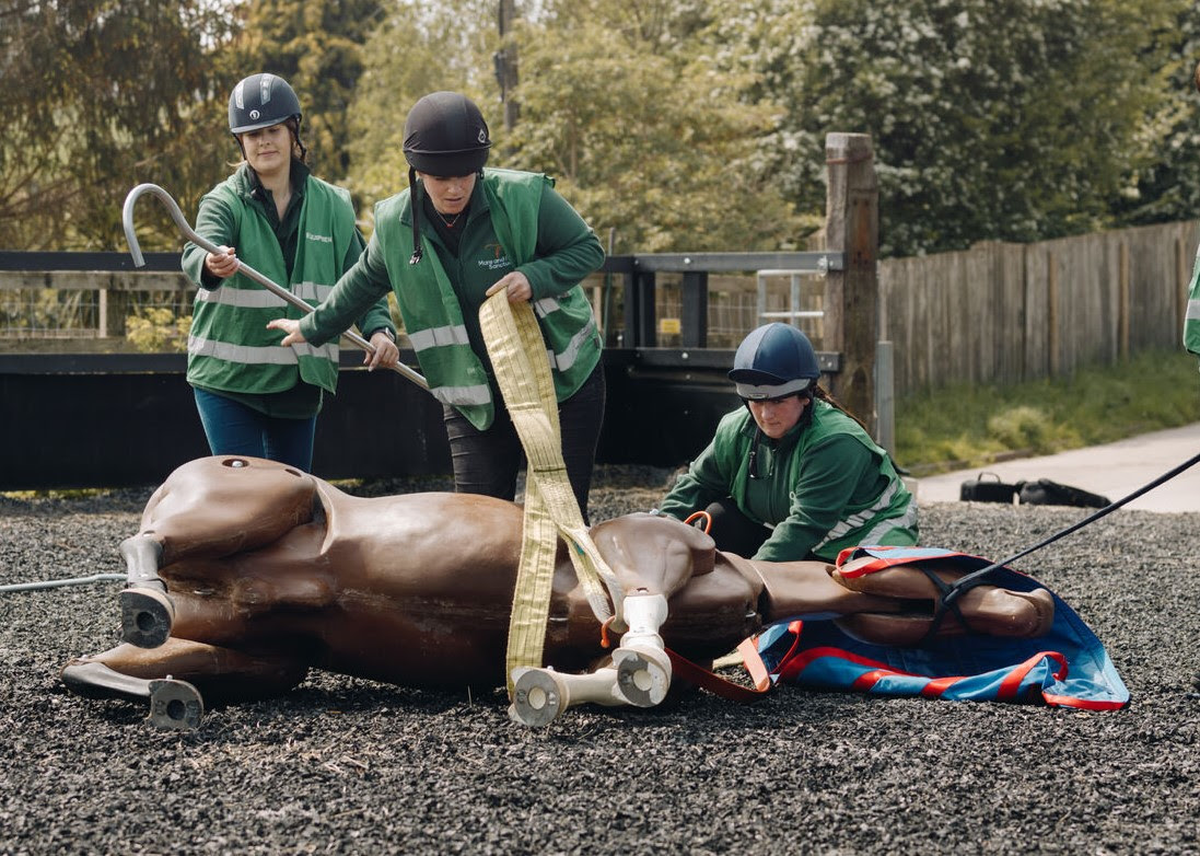 Max the mannequin horse begins rescue training career - Your Horse