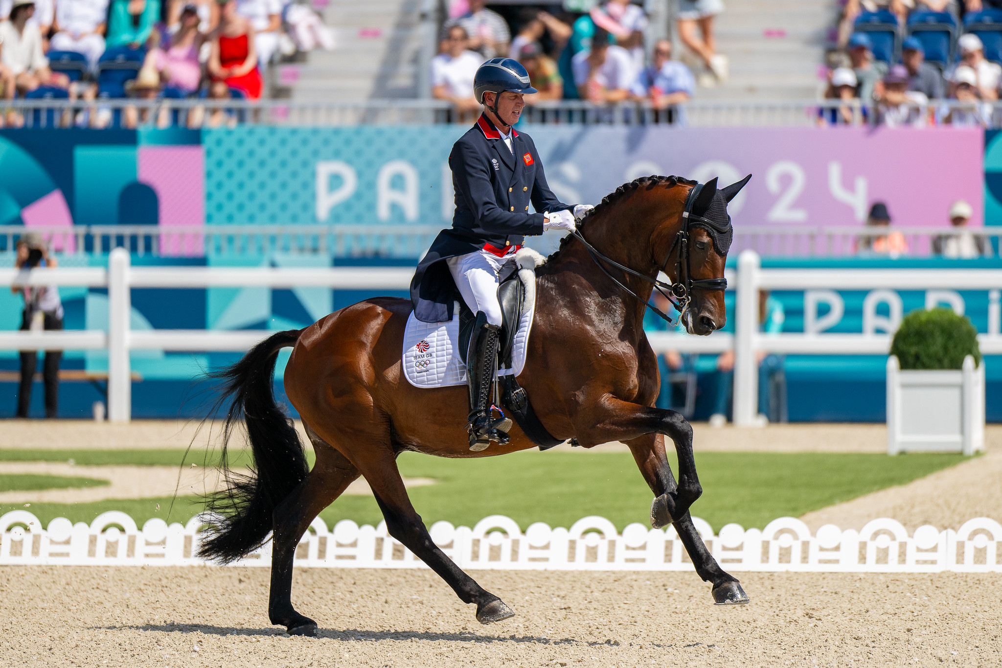 Ultimate guide to equestrian sports at the Olympics - Your Horse