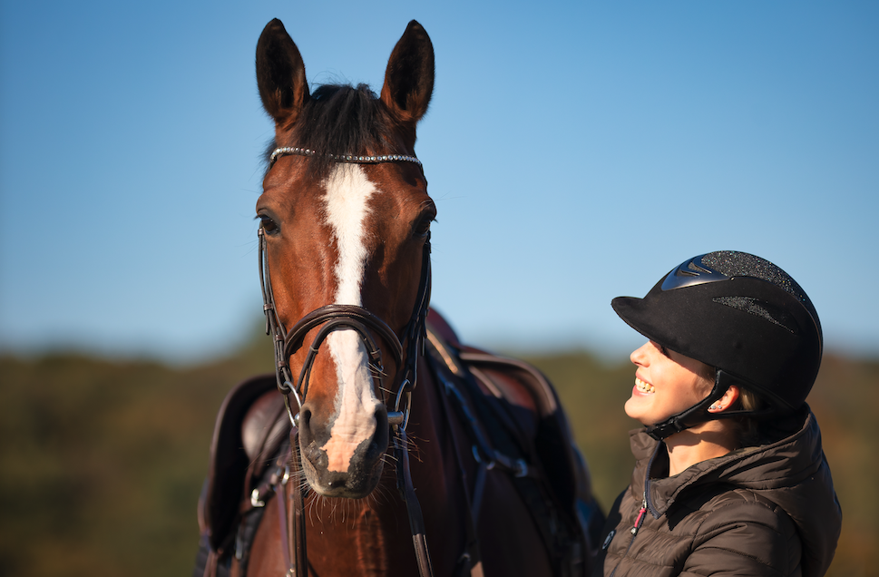Ultimate guide to horse health insurance and vet fees cover - Your Horse