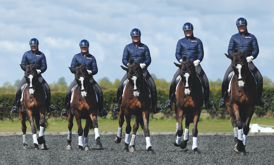 How to measure out canter poles, related distances and bounces on foot ...