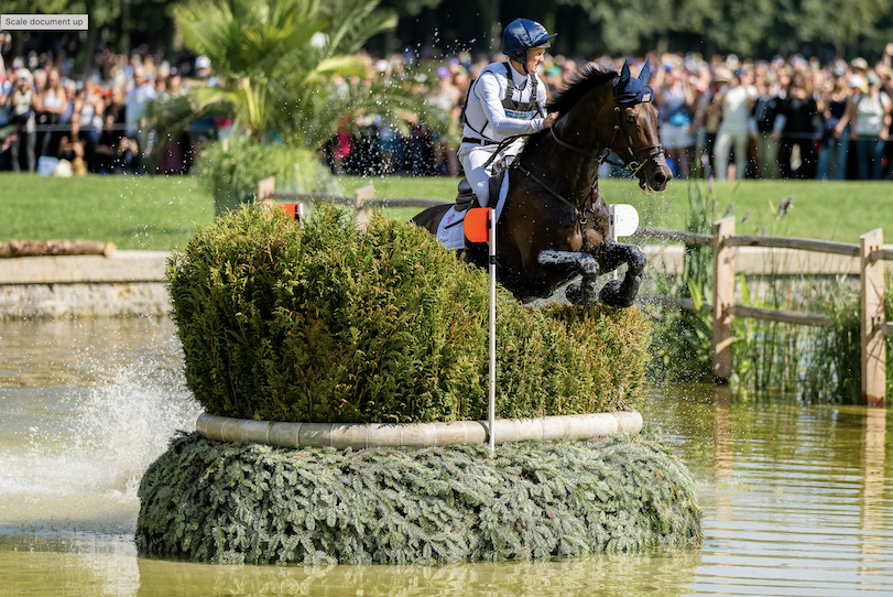 Ultimate guide to equestrian sports at the Olympics - Your Horse
