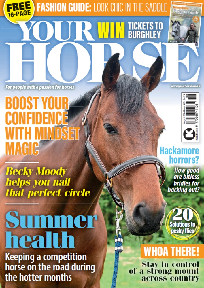 Fun pole exercises that make clever, confident horses - Your Horse