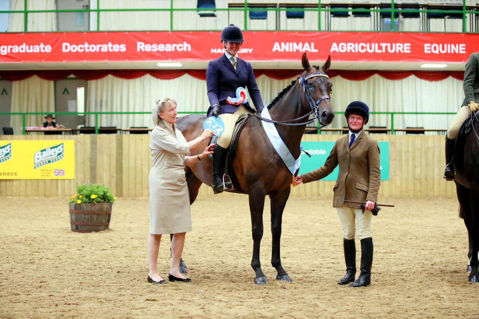 Star racehorse shines in the show ring after retiring from the track - Your Horse