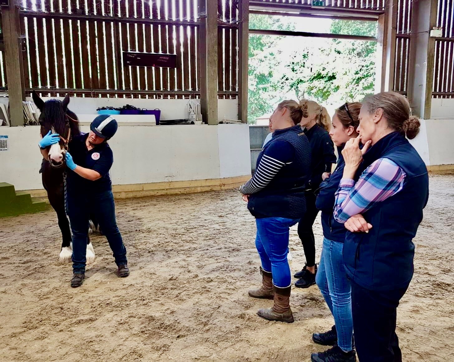 Would you like to become a bridle fitter? Society launches new course ...