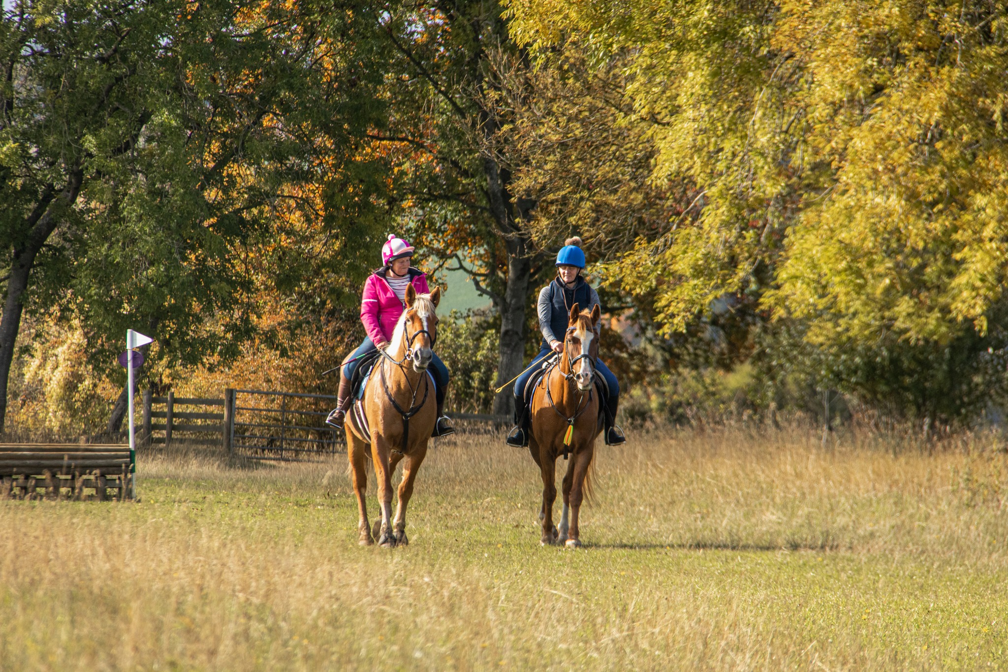 Hack 1000 Miles Archives - Your Horse