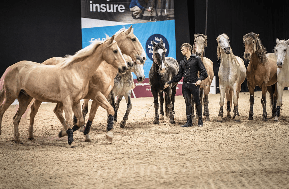 Liberty horse training: Ben Atkinson explains how to get started at ...