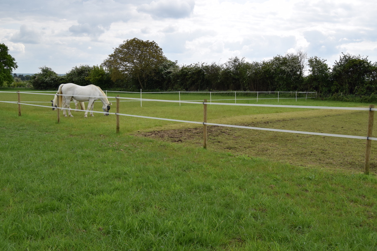 Spillers donates strip grazing supplies to help Redwings residents ...