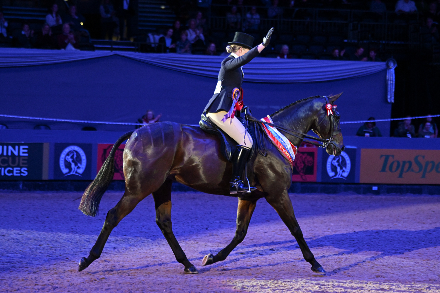 New mum rides to glory in SEIB Racehorse to Riding Horse final at HOYS ...