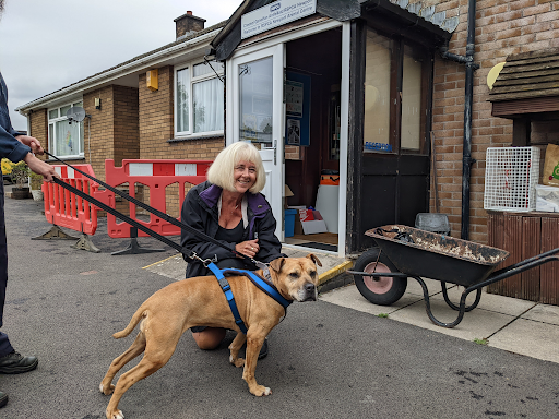 Parliamentary debate will celebrate 200 years of the RSPCA - Your Horse