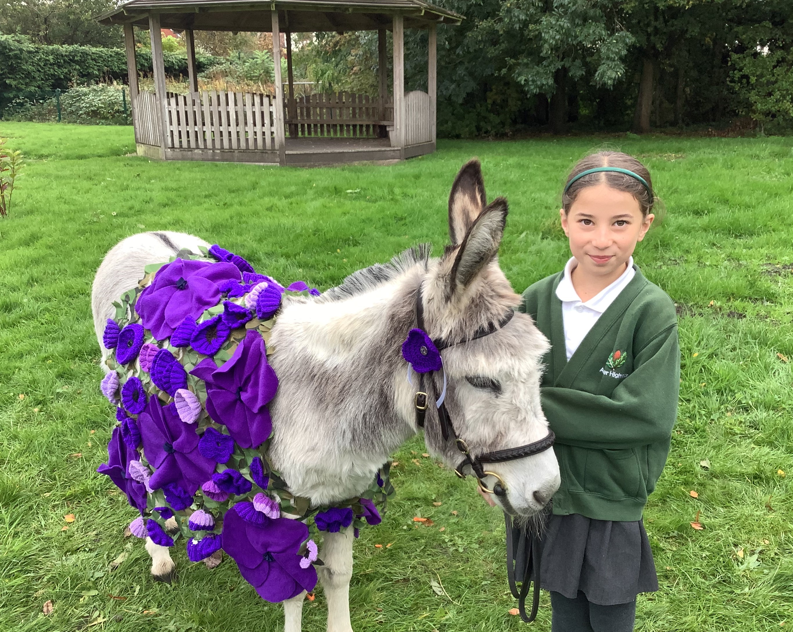 Donkeys welcome Purple Poppies tour to Chester - Your Horse