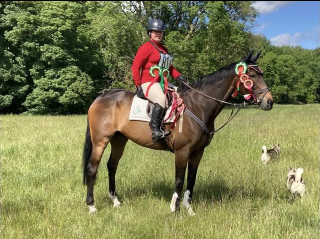 Racehorse turned Grade A showjumper wins RoR Horse of the Year award ...