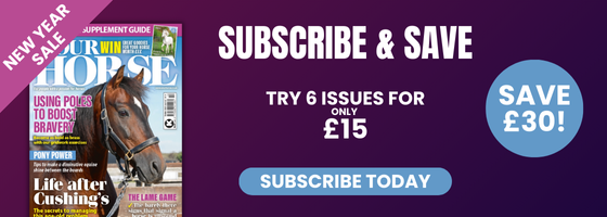 Hat cameras for horse riders: what to look for and 6 on the market ...