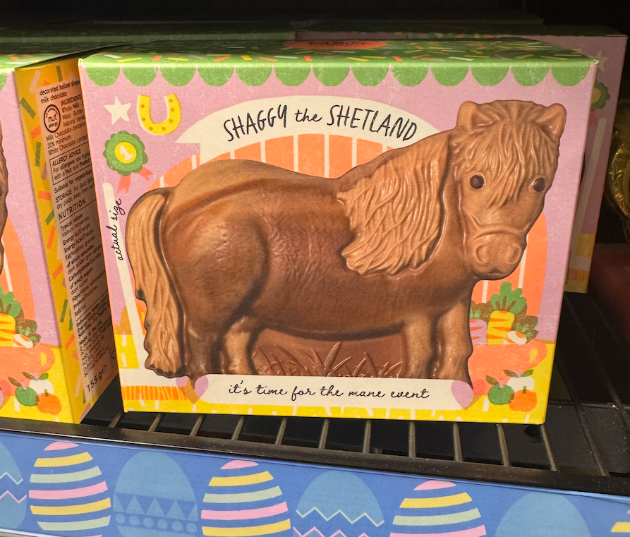 Chocolate Highland Pony