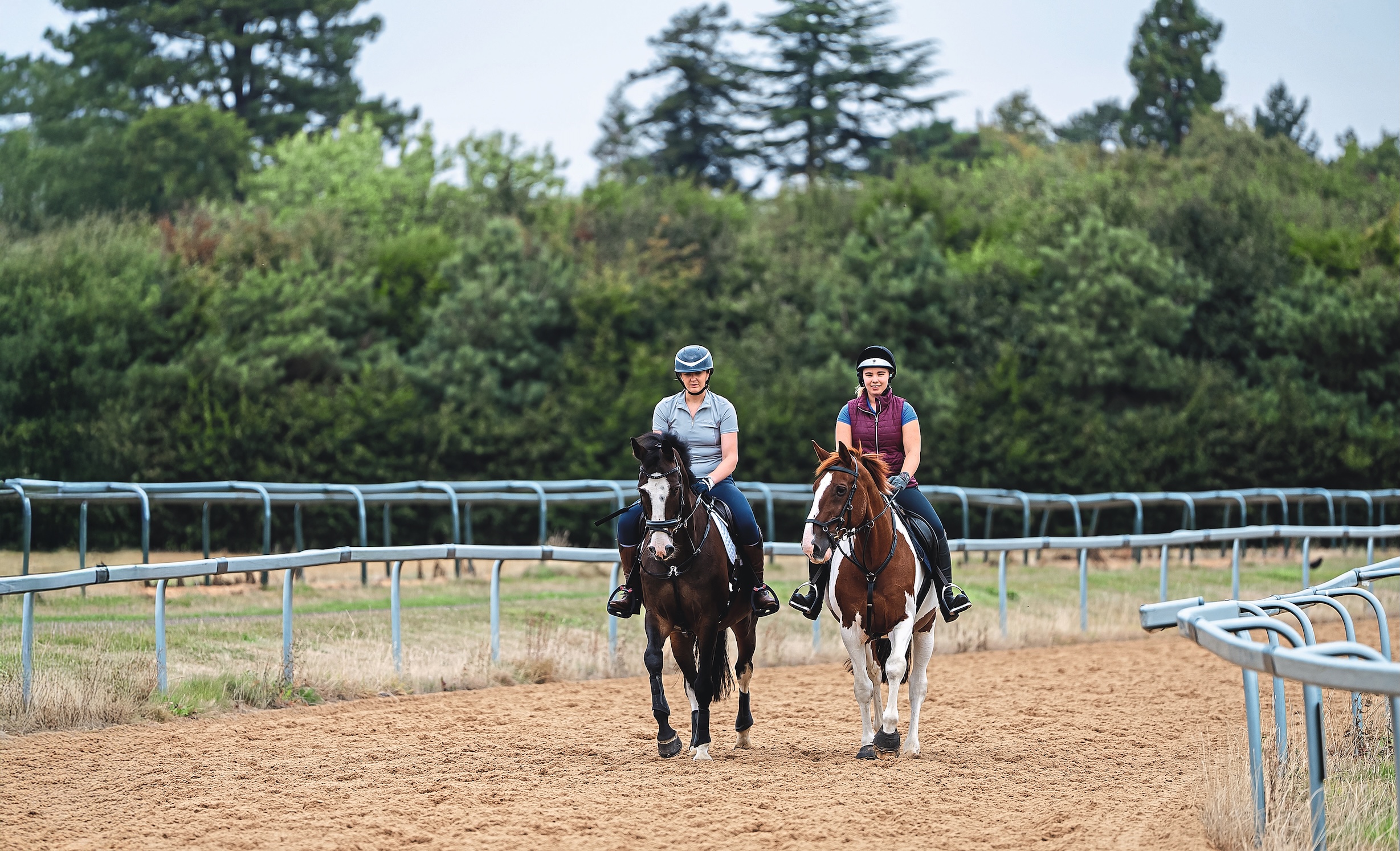 Have fun and get fit: how to make the most of a session on the gallops ...
