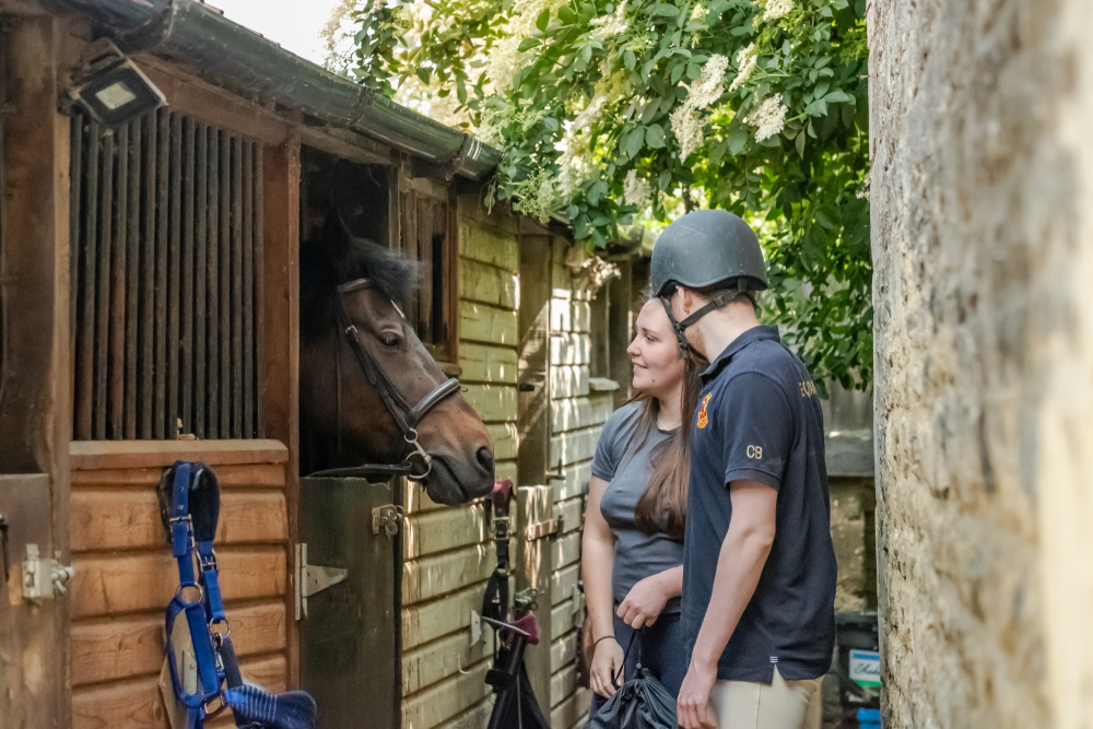 New online platform designed to transform the equestrian sales process ...